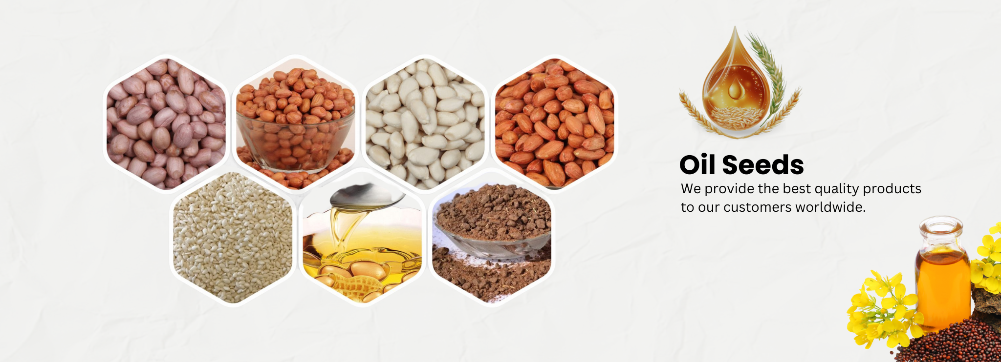 Solution Agro Impex – Solution Agro Impex